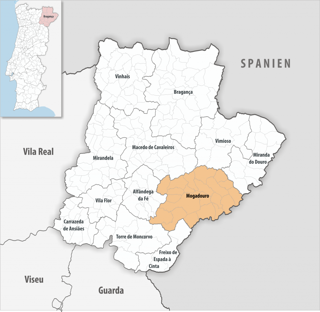 Arquivo de Distrito de Bragança - Interior do Avesso